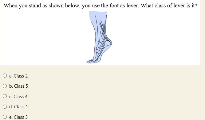 when you stand as shown below you use the foot as lever what class of ...