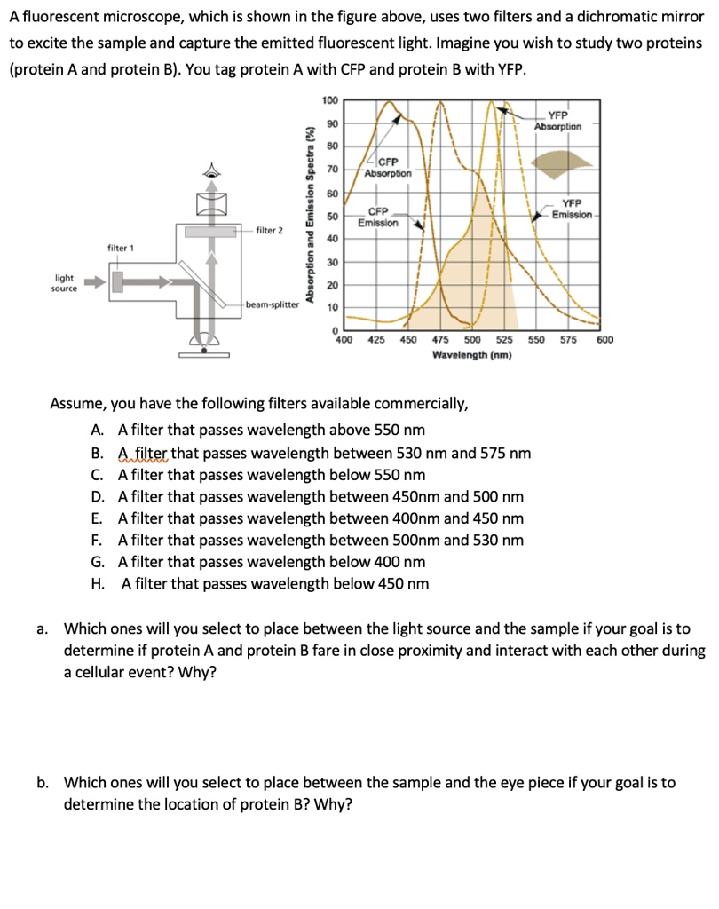 SOLVED: Fluorescent microscope, which is shown in the figure above ...