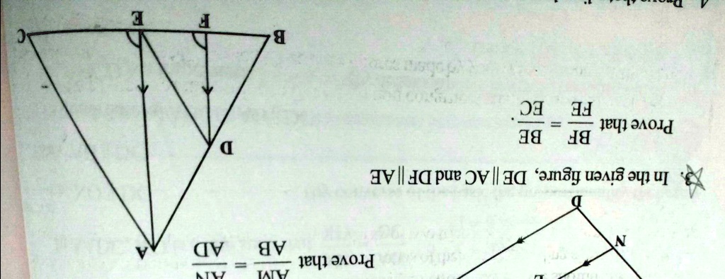 SOLVED: In the given figure, DE || AC and DF || AE. Prove that BF/FE = BE/EC.