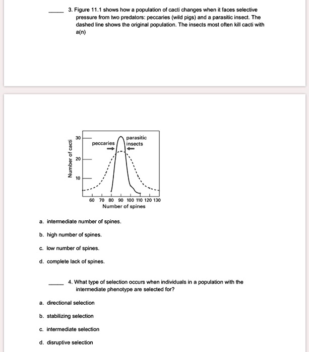 figure 111 shows how population cacti changes whon it faces selective ...