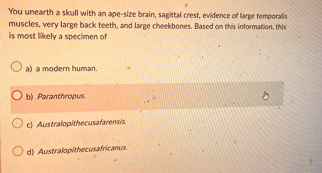 You unearth a skull with an ape-size brain, sagittal crest, evidence of ...