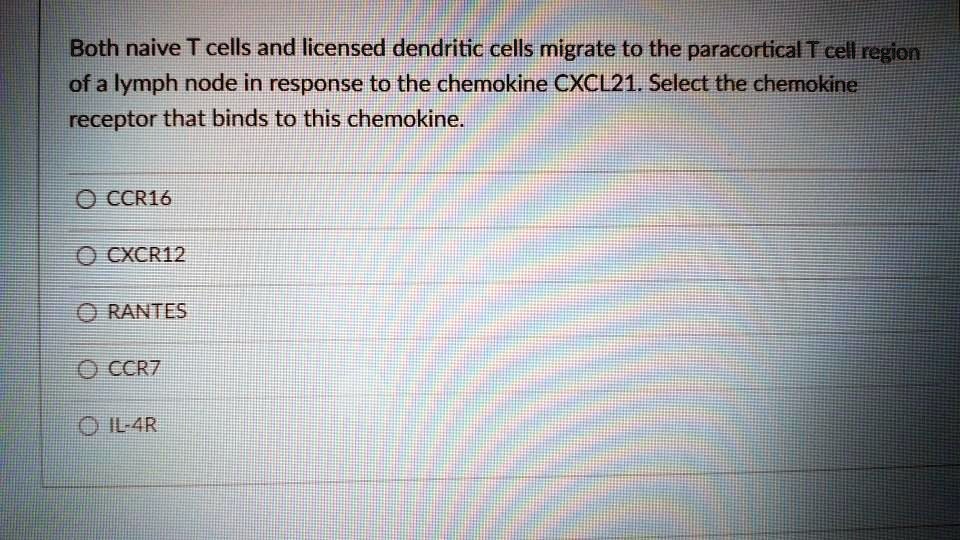 SOLVED: Both naive T cells and licensed dendritic cells migrate to the paracortical T cellegon ...
