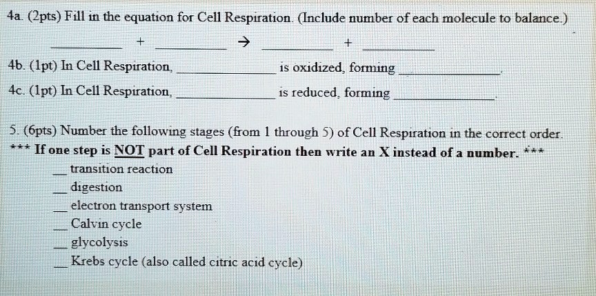 4a zpts fill in the equation for cell respiration include number of ...