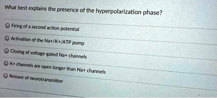 What best explains the presence of the hyperpolarization phase? A ...