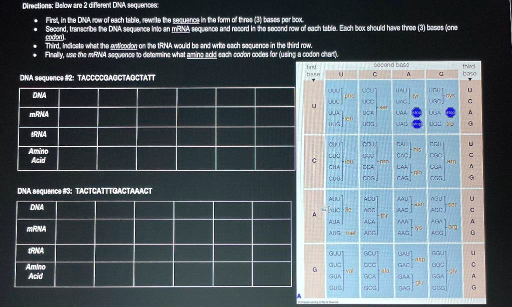 SOLVED: Text: Directions: Below are 2 different DNA sequences: First, in the DNA row of each ...