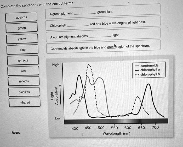 Complete the sentences with the correct terms: A green pigment absorbs ...