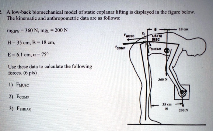 2. A low-back biomechanical model of static coplanar lifting is ...