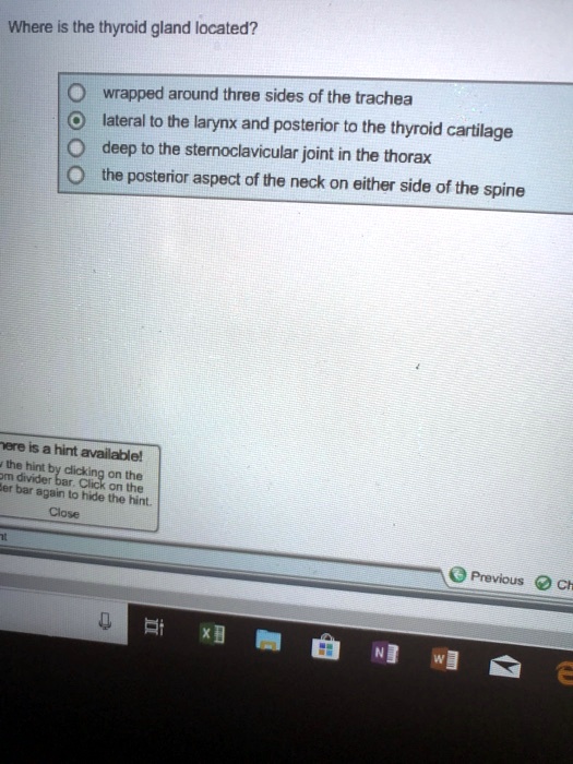 Where is the thyroid gland located? wrapped around three sides of the ...