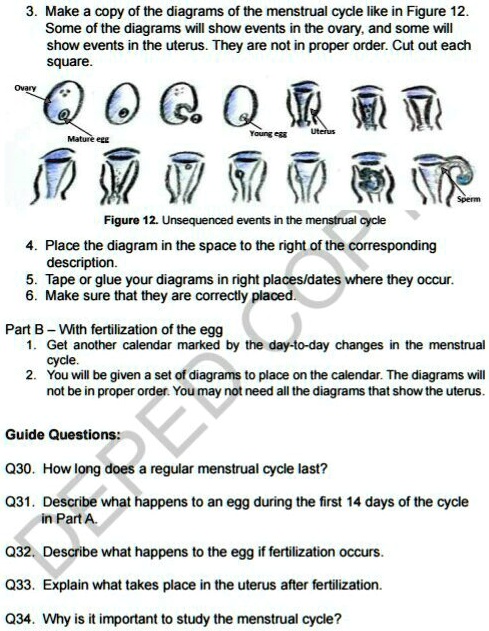pa help naman po kailngan lang po talaga tungkol sa mestrual cycle ...