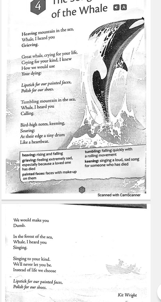 'the song of the whale poem poetic devices'