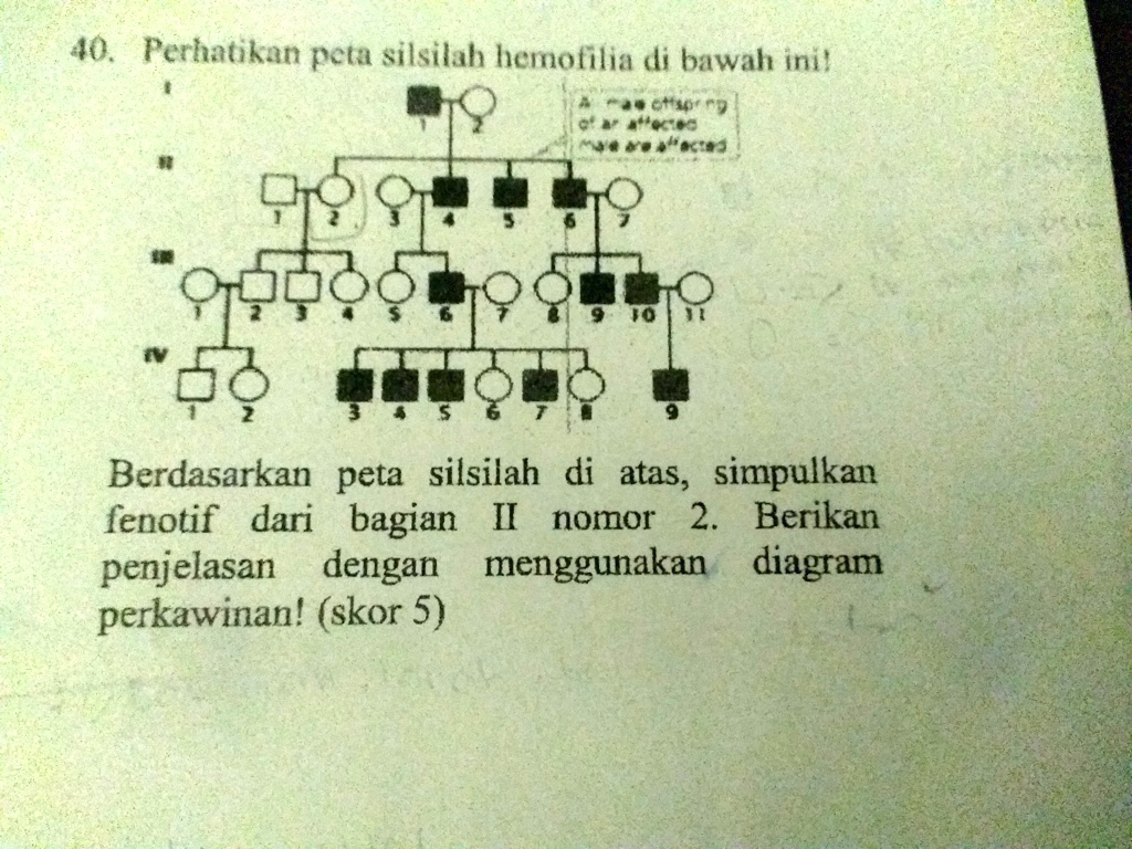SOLVED: Mohon bantuannya, hari ini dikumpul. 40. Ferhatikan Peta ... SOLVED: Mohon bantuannya, hari ini dikumpul. 40. Ferhatikan Peta ...