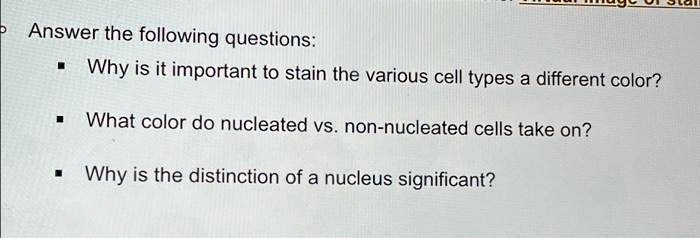 Answer the following questions: • Why is it important to stain the ...