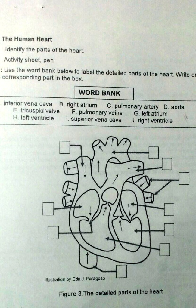 Parts Of The Heart Blank Label