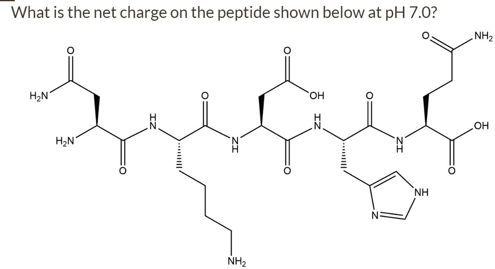 what is the net charge on the peptide shown below at ph 70 nhz hzn oh ...