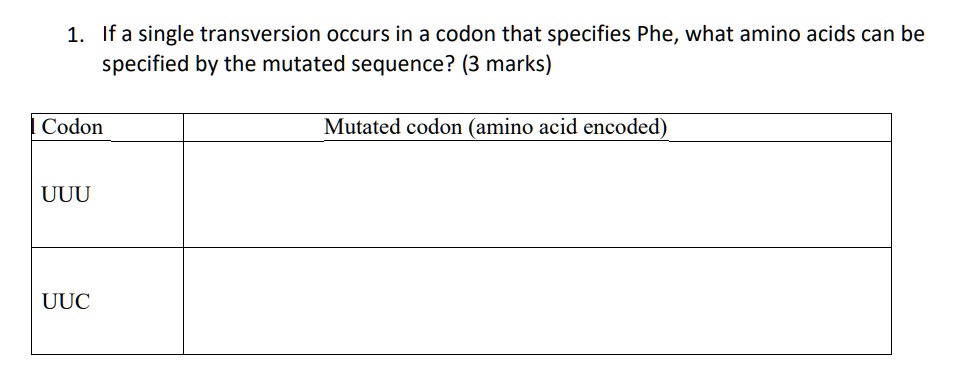SOLVED: Ifa single transversion occurs in a codon that specifies Phe ...
