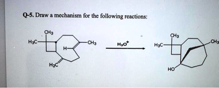 SOLVED: 05. Draw a mechanism for the following reactions: CHa Hsc CHa Hiot cH3 HaC Hzc HO