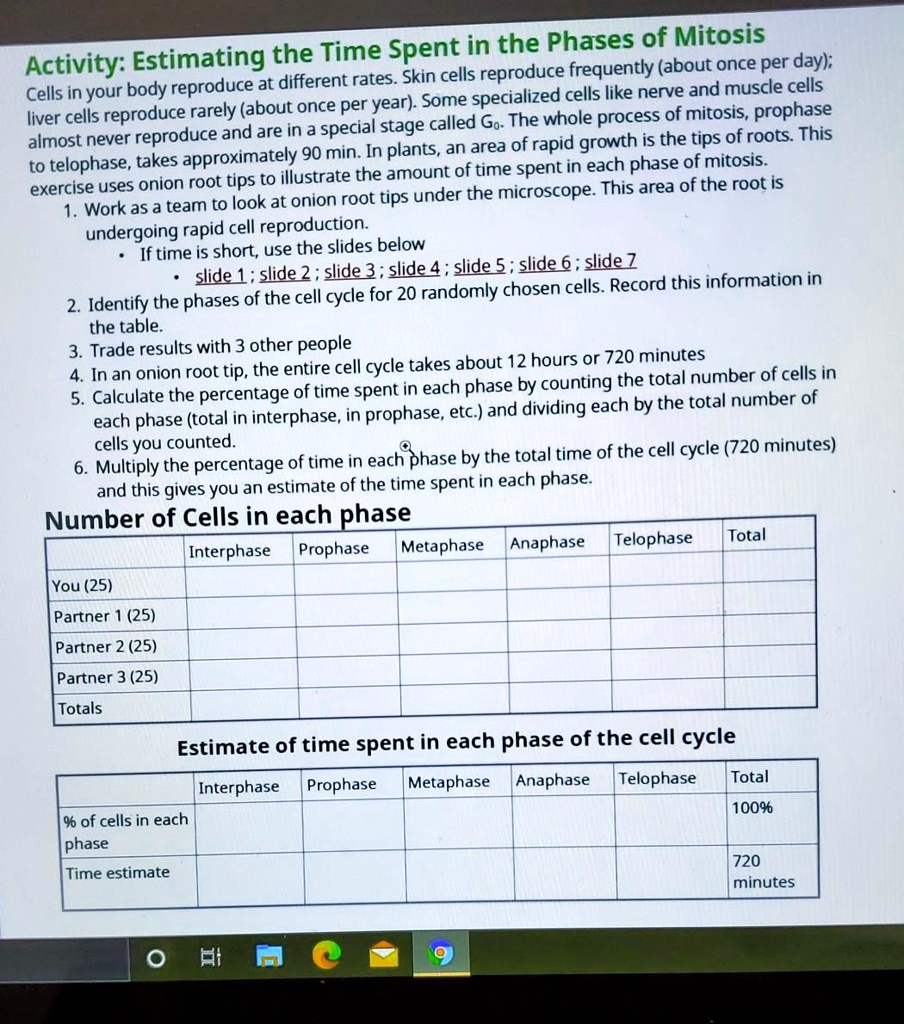 SOLVED: The Time Spent in the Phases of Mitosis Activity: Estimating ...