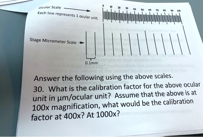 SOLVED: ocular Scale Each linc represents - ocular unit; Stage ...