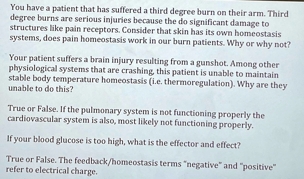 SOLVED: You have a patient that has suffered a third degree burn on ...