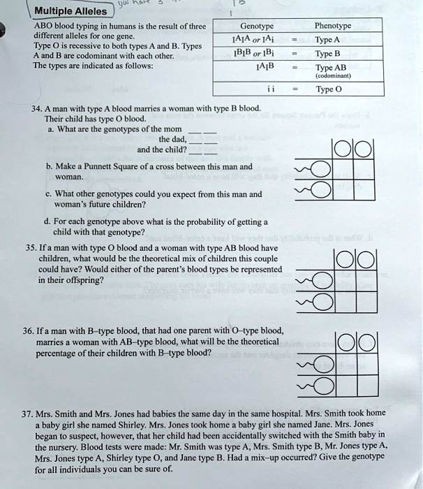 multiple alleles abo blood typing in humans the result of three ...