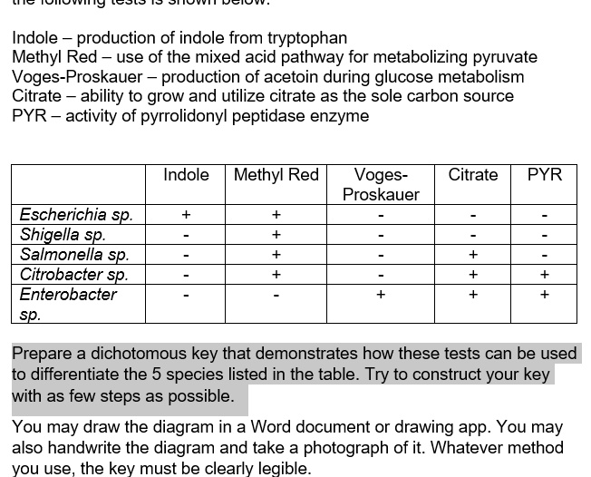 SOLVED:Indole production of indole from tryptophan Methyl Red use of ...