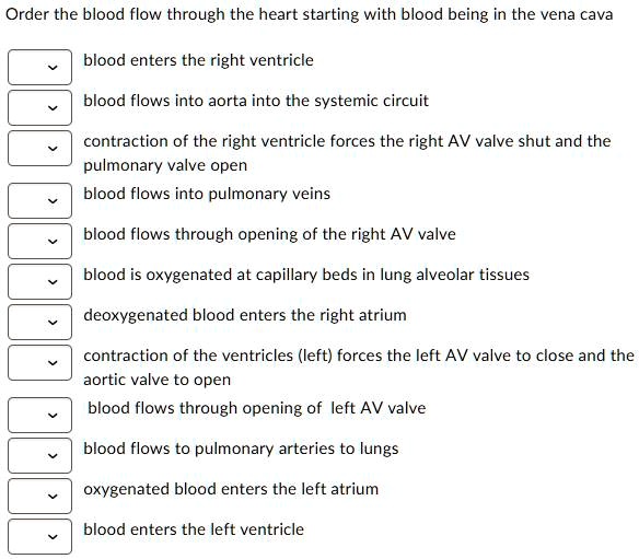order the blood flow through the heart starting with blood being in the vena cava blood enters ...