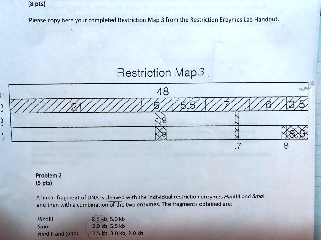 SOLVED:(8 pts) Please copy here vour completed Restriction Map 3 from ...