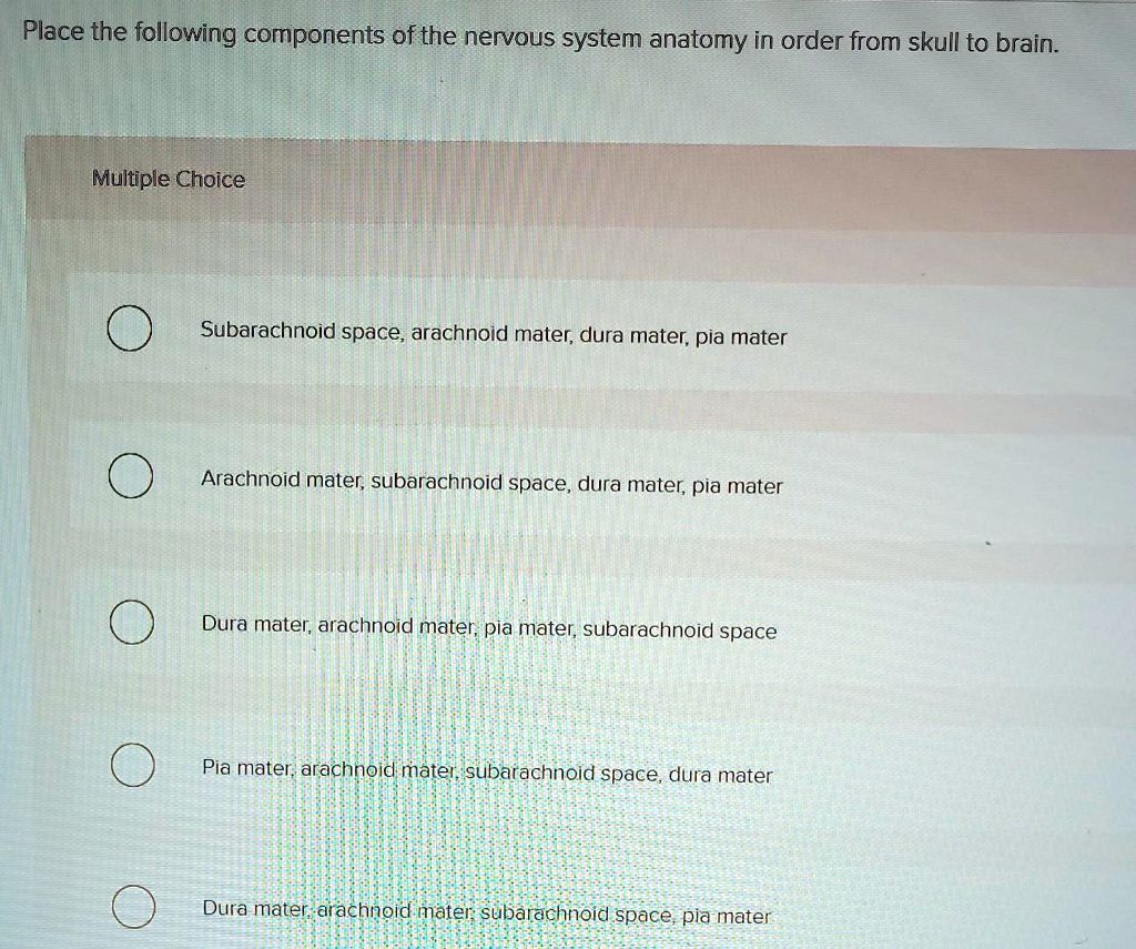 SOLVED: Place the following components of the nervous system anatomy in order from skull to ...