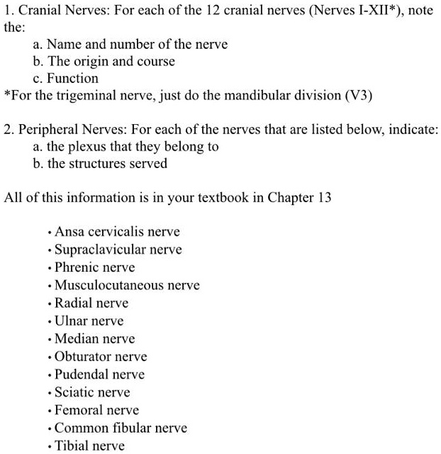1. Cranial Nerves: For each of the 12 cranial nerves (Nerves I-XII ...