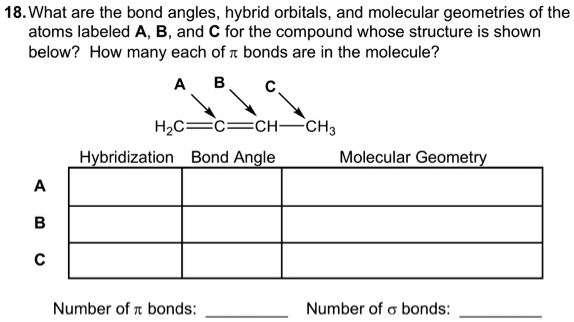 SOLVED: 18.What are the bond angles, hybrid orbitals and molecular ...