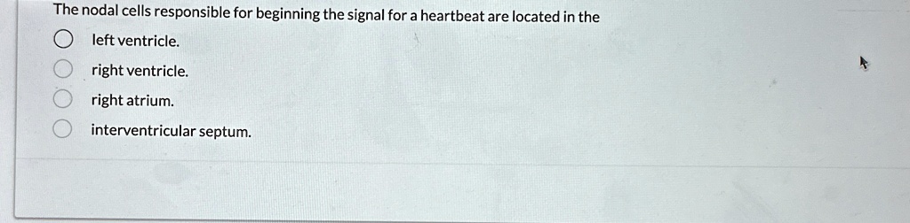 the nodal cells responsible for beginning the signal for a heartbeat ...