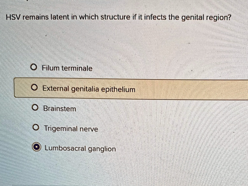 hsv remains latent in which structure if it infects the genital region ...