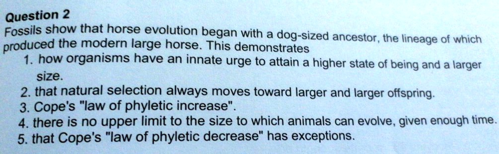 SOLVED: Question 2 Fossils show that horse evolution began with dog ...
