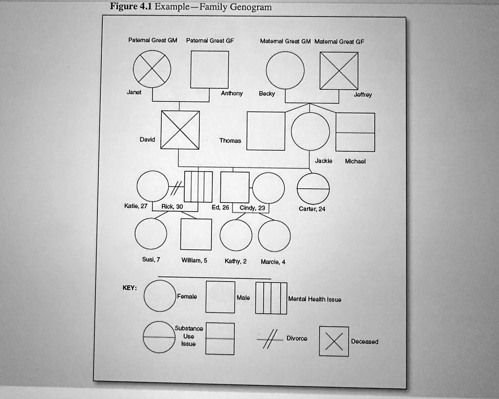 Figure 4.1 Example-Family Genogram Paternal Great GM Paternal Great GF ...