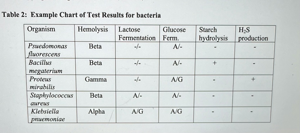 please do it for proteus mirabilis table 2 example chart of test ...