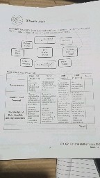 SOLVED: CONCEPT MAPPING: Make a concept map from the given words below ...