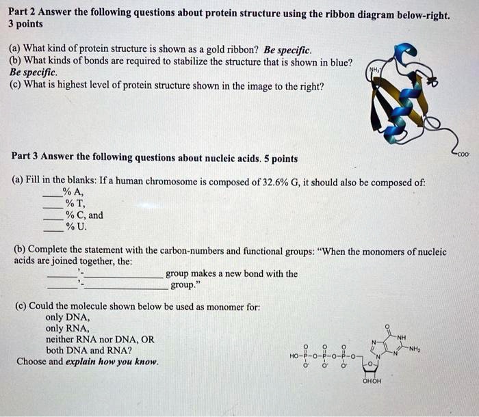 SOLVED: Part 2 Answer the following questions about protein structure ...
