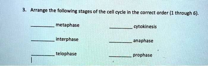 SOLVED: Arrange the following stages of the cell cycle in the correct ...