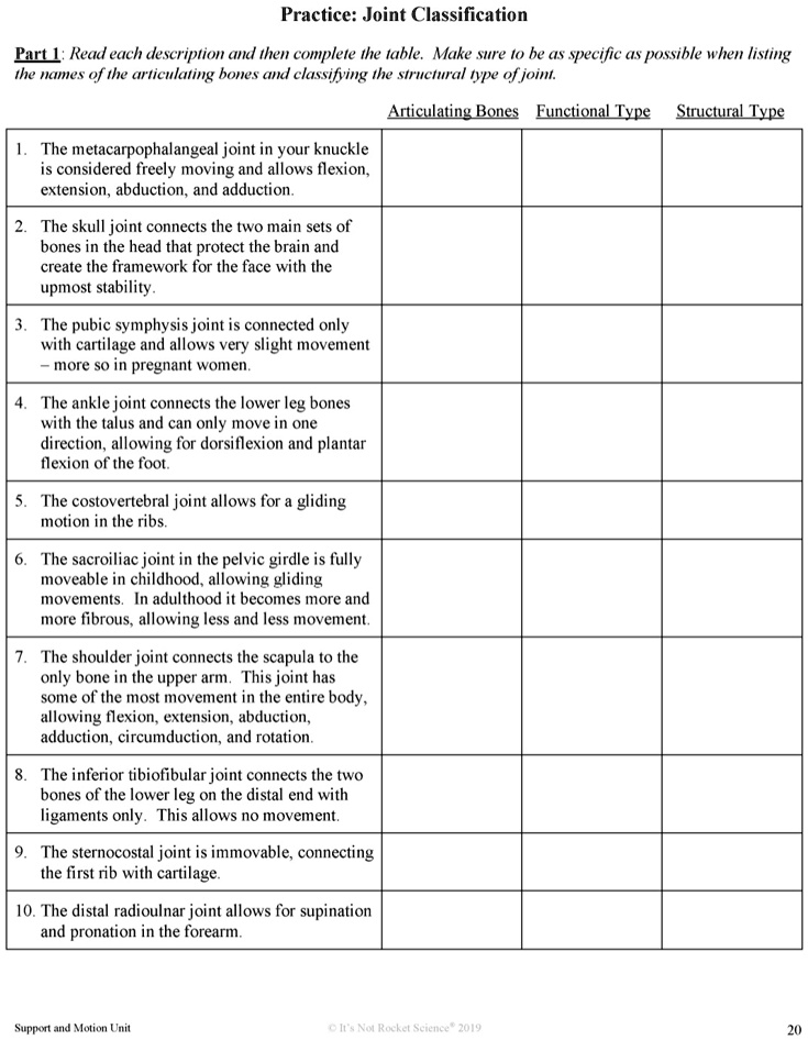 practice joint classification part 1 read each description and then ...