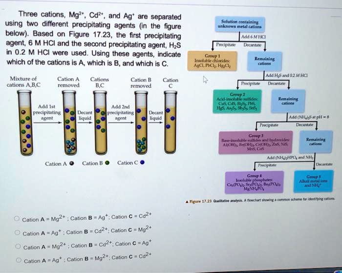 three cations mg cd and ag are separated using two different ...