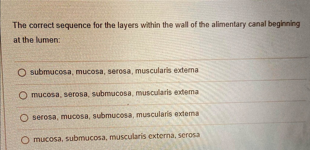 The correct sequence for the layers within the wall of the...