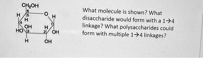 SOLVED:CHOH What molecule is shown? What disaccharide would form with a ...