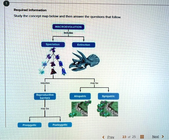required informaton study the concept map below and then answer the questions that follow ...