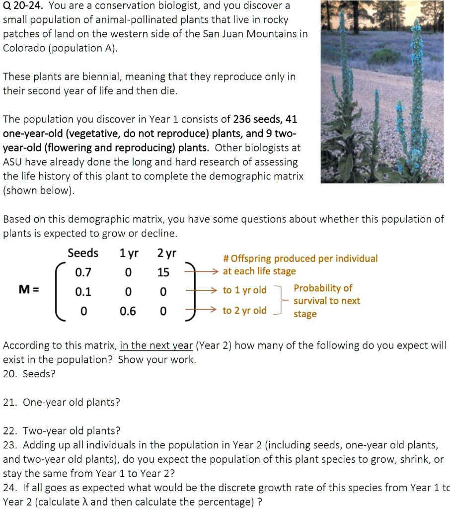 SOLVED: Q20-24. You are a conservation biologist, and you discover a ...