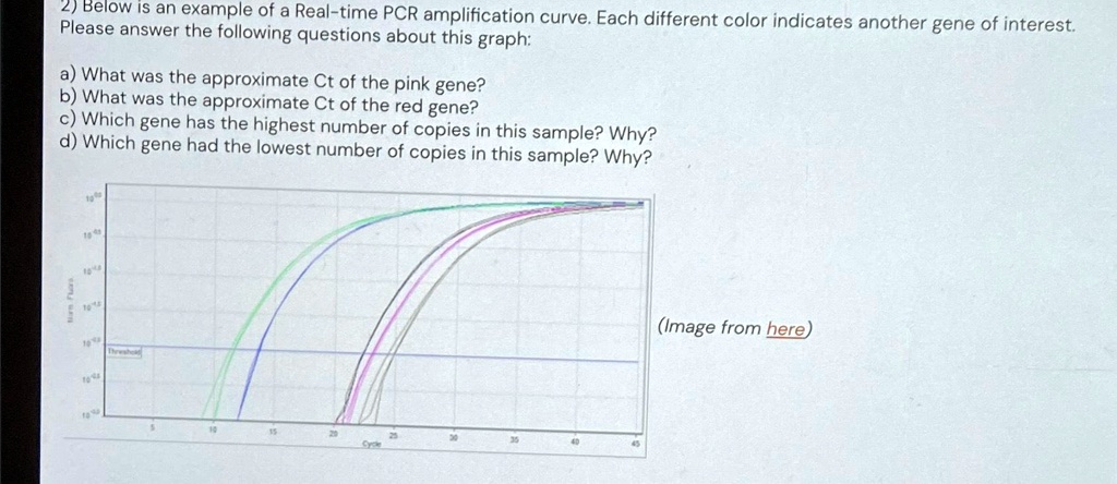 below is an example of a real time pcr amplification curve each ...