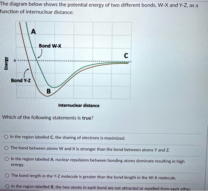 the diagram below shows the potential energy of two different bonds w x ...