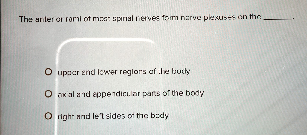 the anterior rami of most spinal nerves form nerve plexuses on the ...