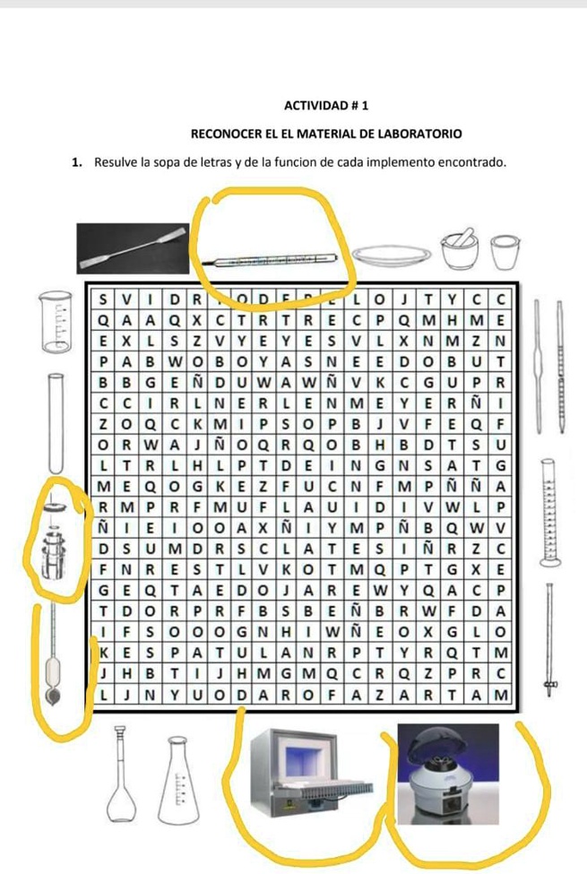 SOLVED: sopa de letras material de laboratorio doy corona ACTIVIDAD # 1 ...