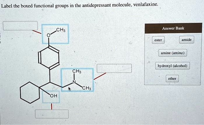 Label the boxed functional groups in the antidepressant...