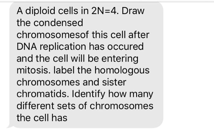 A diploid cells in 2n4 draw the condensed chromosomesof this...
